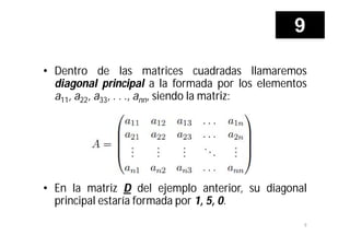MATRICES, SISTEMA DE ECUACIONES LINEALES Y DETERMINANTES | PDF