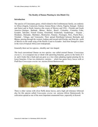The Reality of Damas (Conocarpus spp.) planting in AD city - 2014 | PDF
