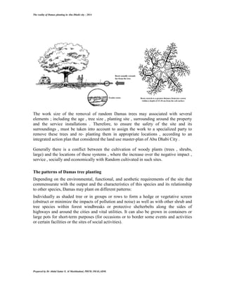 The Reality of Damas (Conocarpus spp.) planting in AD city - 2014 | PDF