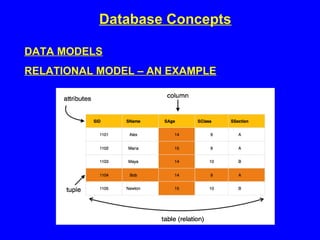 11 Database Concepts | PPT