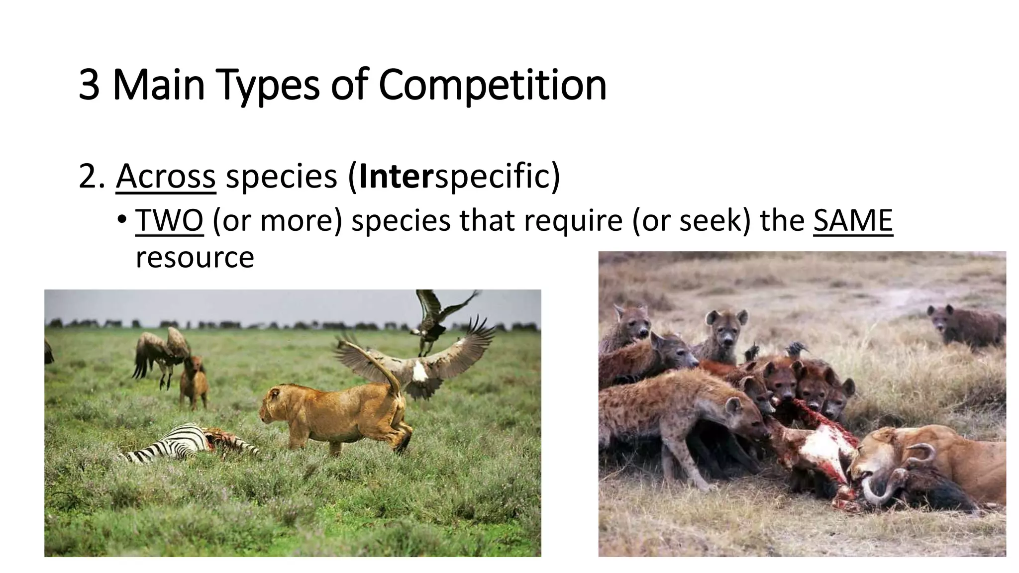 Sample Lesson Presentation - 5.2 Competition | PPTX