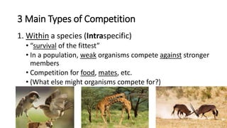 Sample Lesson Presentation - 5.2 Competition | PPTX