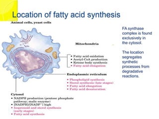 fatty acid biosynthesis MUHAMMAD MUSTANSAR FJMC LAHORE | PPT