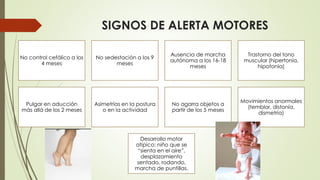 Desarrollo Psicomotriz .pdf