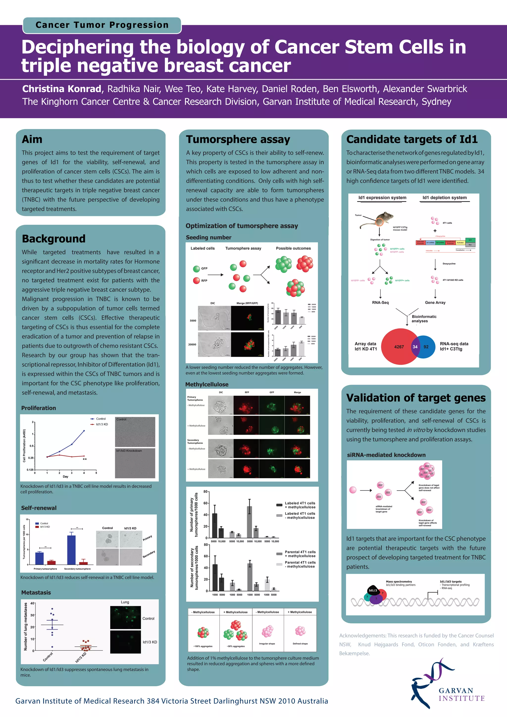 Lorne poster 2015_Deciphering the biology of cancer stem cells in ...