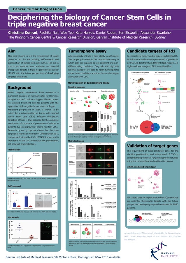 Lorne poster 2015_Deciphering the biology of cancer stem cells in ...