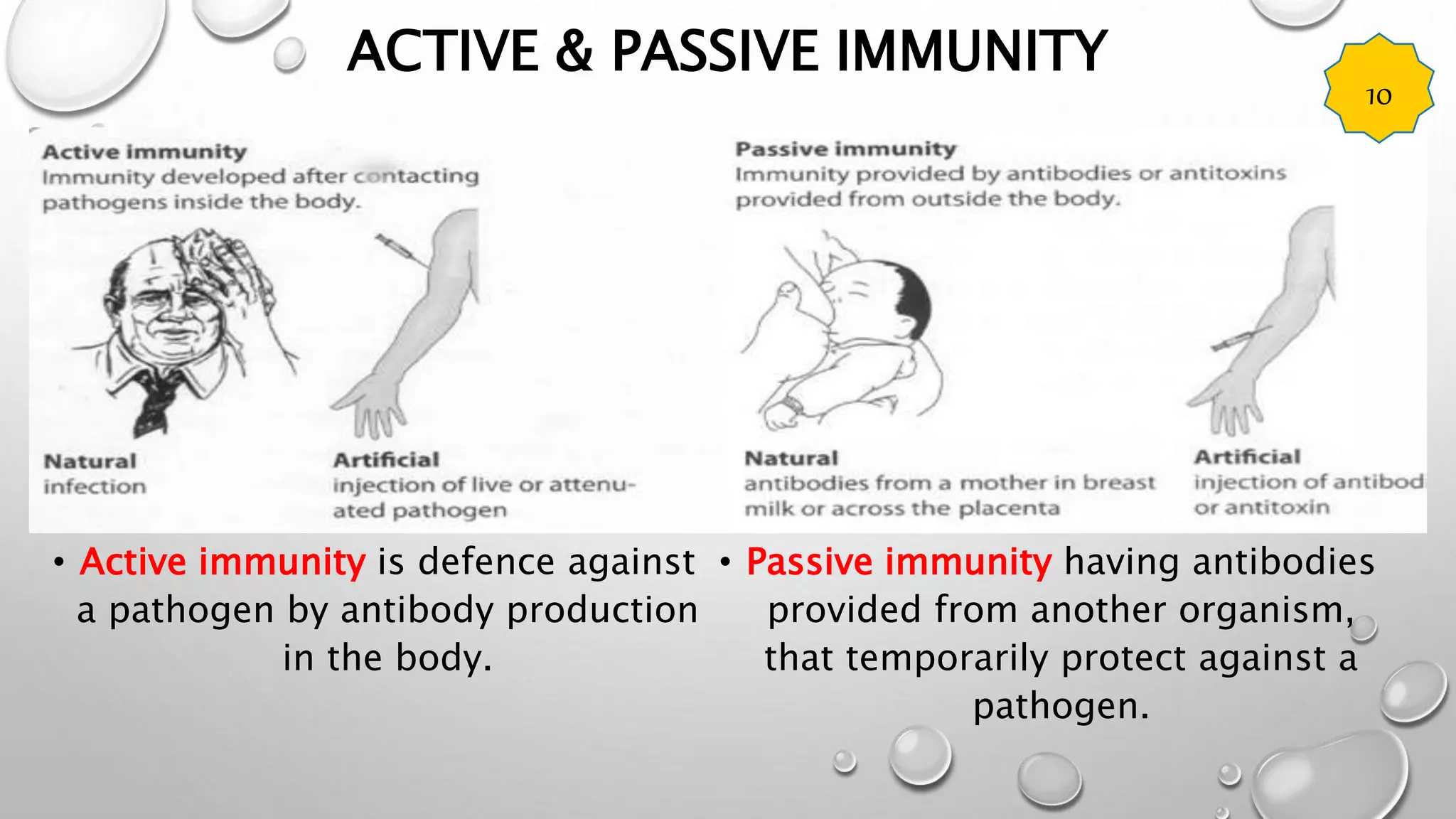 11 disease & immunity 2019 | PPTX
