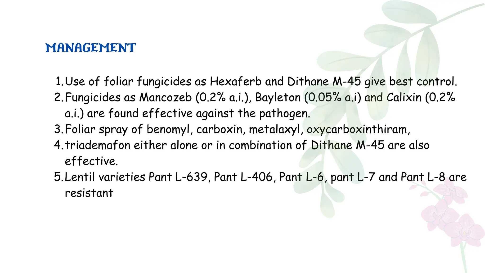 diseases of gram and lentils.pdf