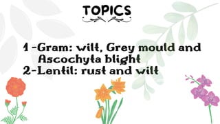 diseases of gram and lentils.pdf | Agriculture | Industries