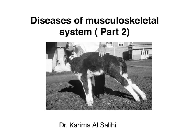 11 diseases of musculoskeletal system ) part 2) | PDF
