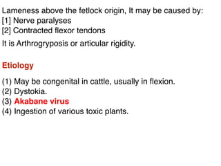 11 diseases of musculoskeletal system ) part 2) | PDF