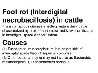 11 diseases of musculoskeletal system ) part 2) | PDF