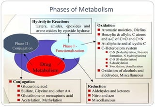 11 drug metabolism | PPTX