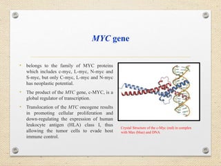 Burkitt lymphoma Beyond MYC | PPTX | Blood Disorders | Diseases and ...