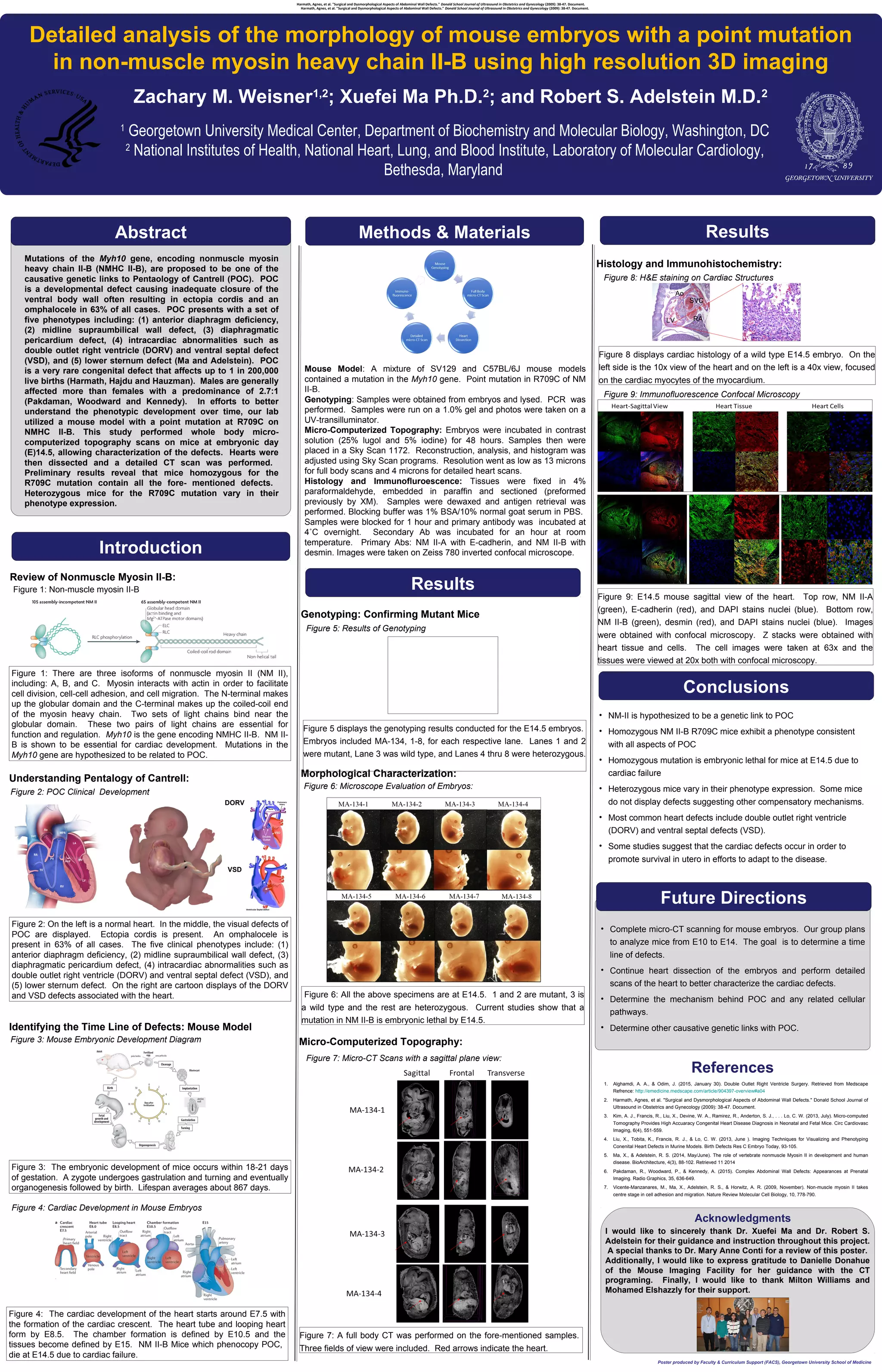 Final POC Poster Weisner Spring 2015 | PPT | Heart and Cardiovascular ...