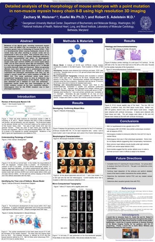 Final POC Poster Weisner Spring 2015 | PPT | Heart and Cardiovascular ...