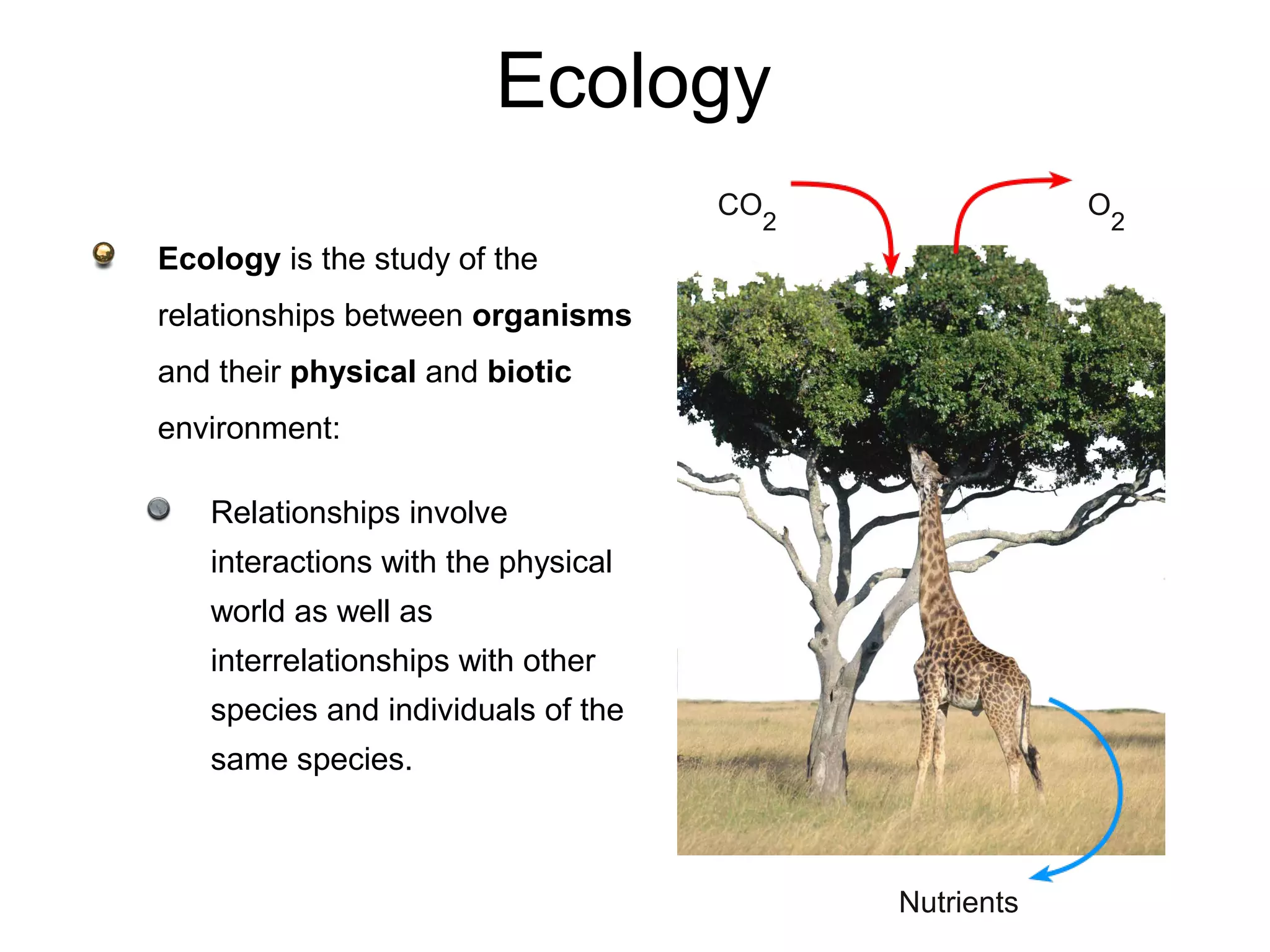 11 Ecology | PPT