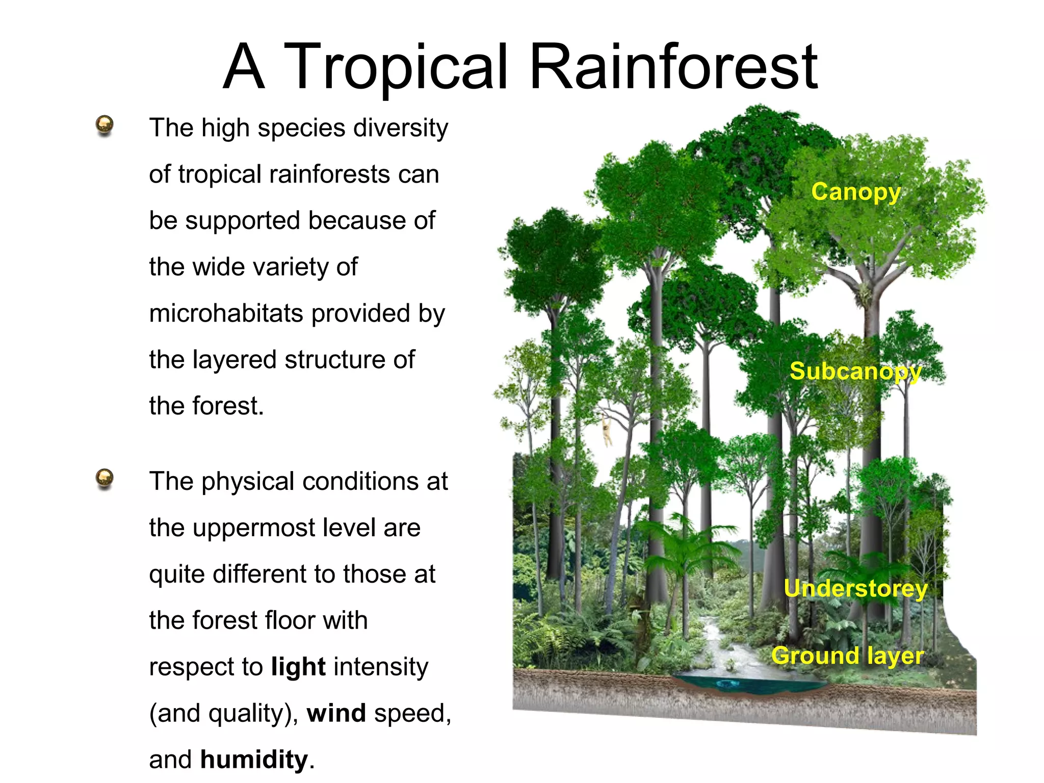 11 Ecology | PPT