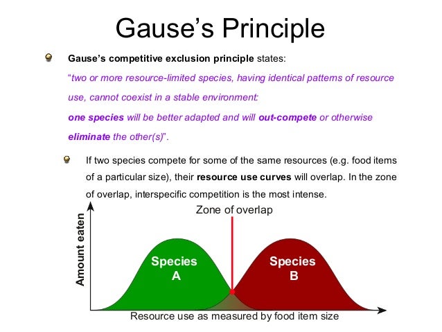 Competitive exclusion principle definition biology - architectnery