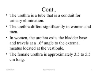 11 elimination (2).fo nursing student ppt | PPTX