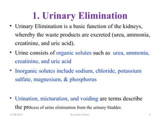 11 elimination (2).fo nursing student ppt | PPTX