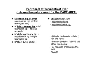 Anatomy of liver | PDF