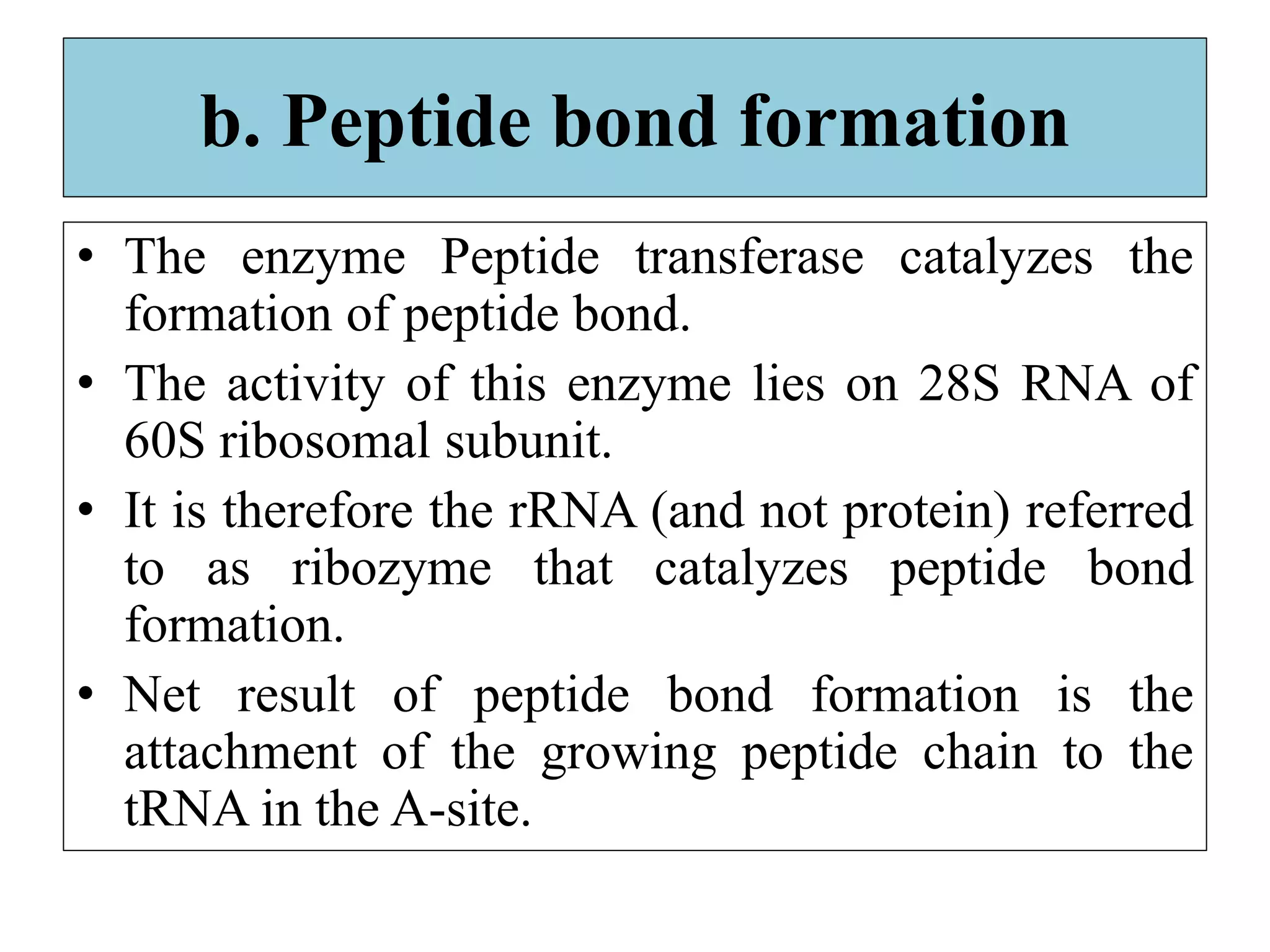 Eukaryotic Translation & it's Regulation.pptx