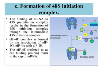 Eukaryotic Translation & it's Regulation.pptx