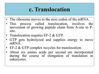 Eukaryotic Translation & it's Regulation.pptx