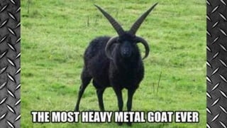11 extremely funny metal memes | PDF
