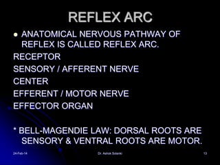 11 feb lect. reflexes, Ashok Solanki, asso. prof physio, | PPTX