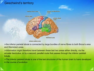 11f language and communication | PPT