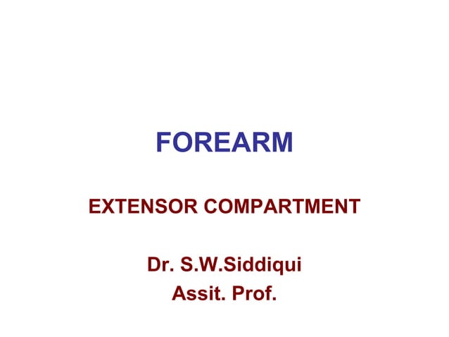 forearm extensor compartment | PPT