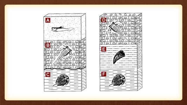 11 formation of rock layers | PPTX | Geology | Science