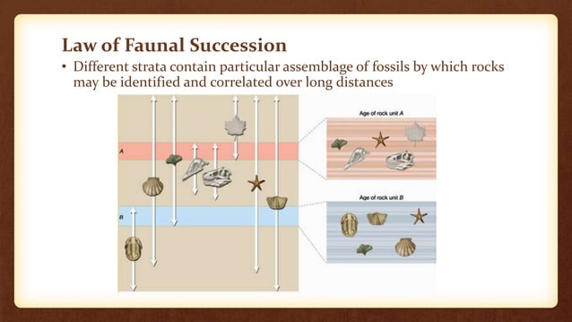 11 formation of rock layers | PPTX | Geology | Science