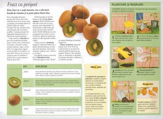 11 fructele | PDF