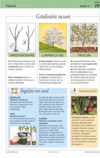 11 fructele | PDF