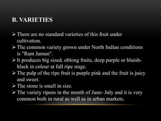 jamun ppt by Manas. | PPTX