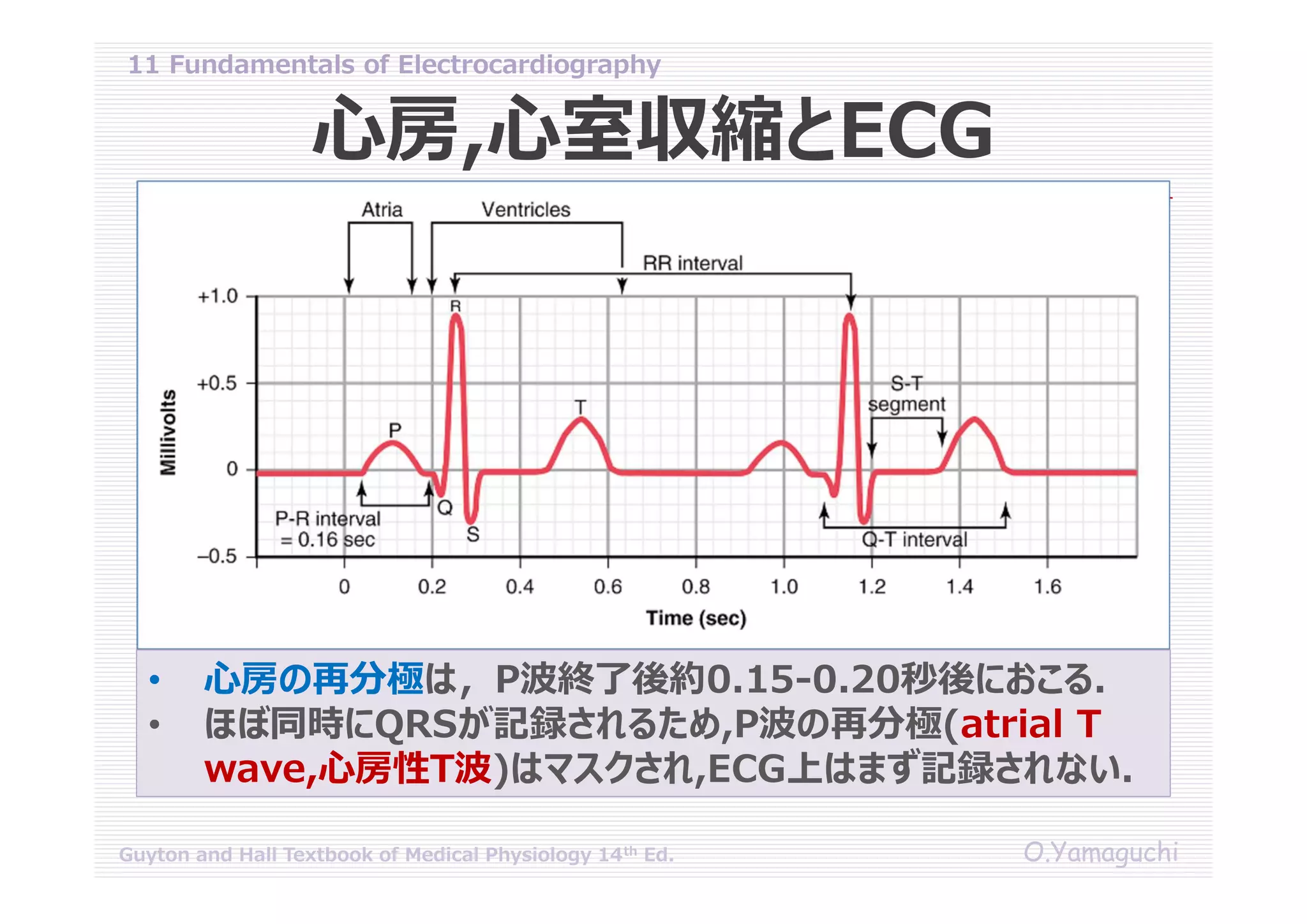 11 fundamentals of electrocardiography | PPT