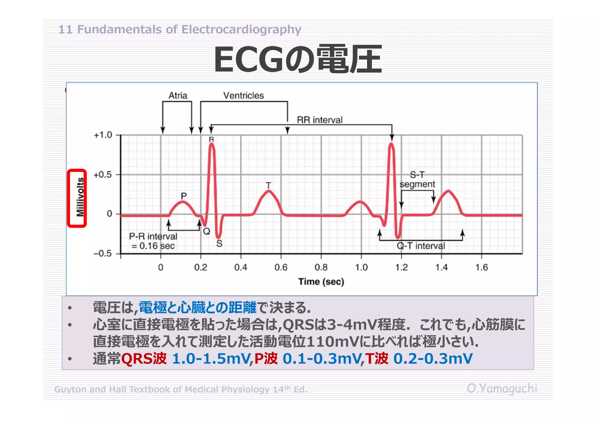 11 fundamentals of electrocardiography | PDF