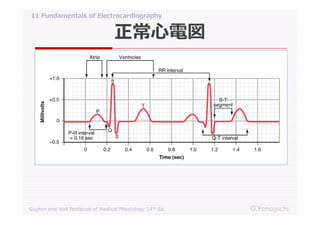 11 fundamentals of electrocardiography | PPT