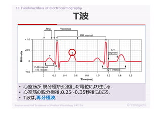11 fundamentals of electrocardiography | PPT