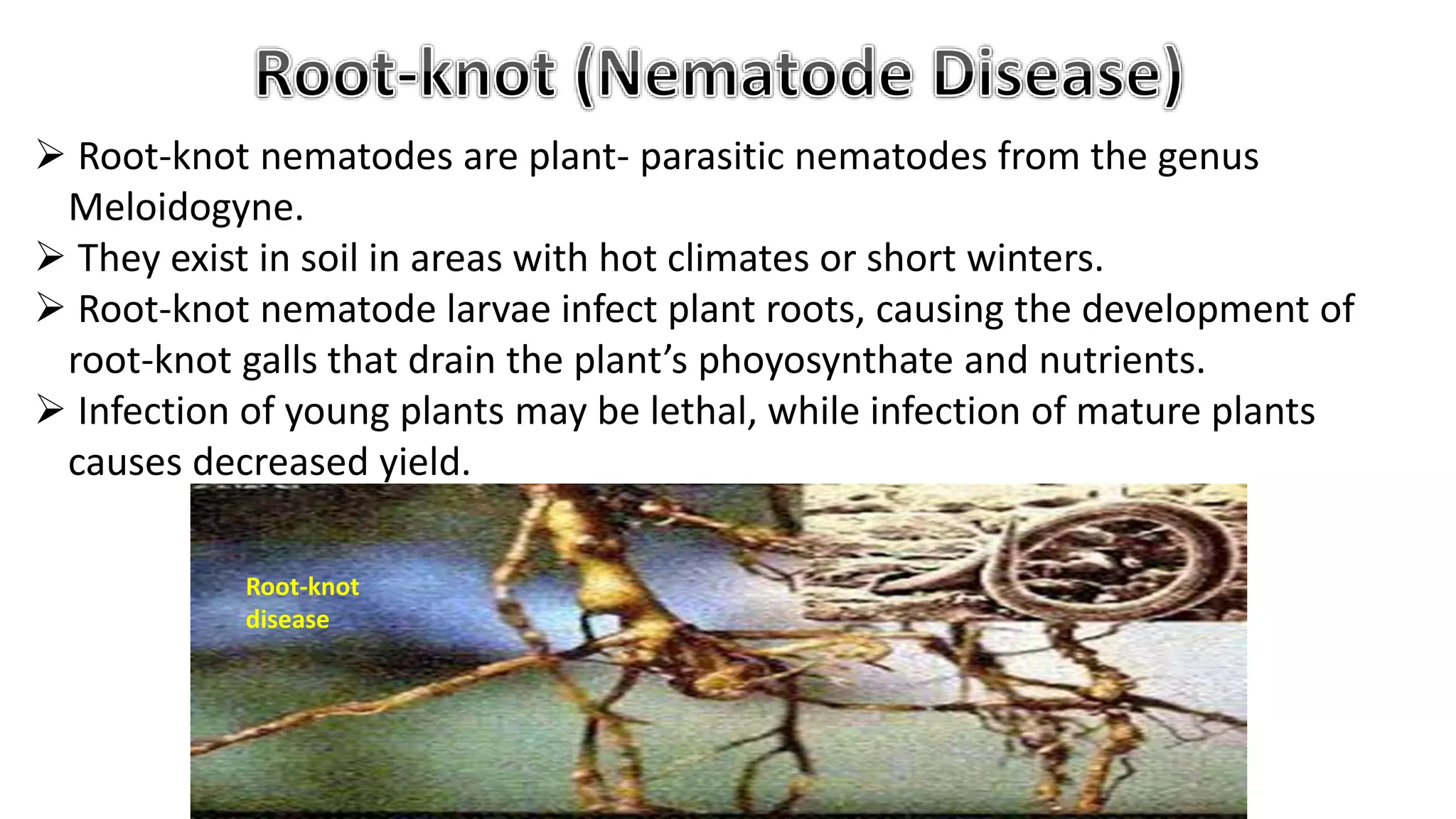 Fungal Nematicides.pptx