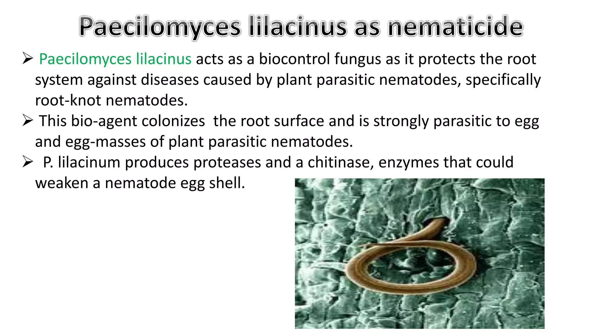 Fungal Nematicides.pptx