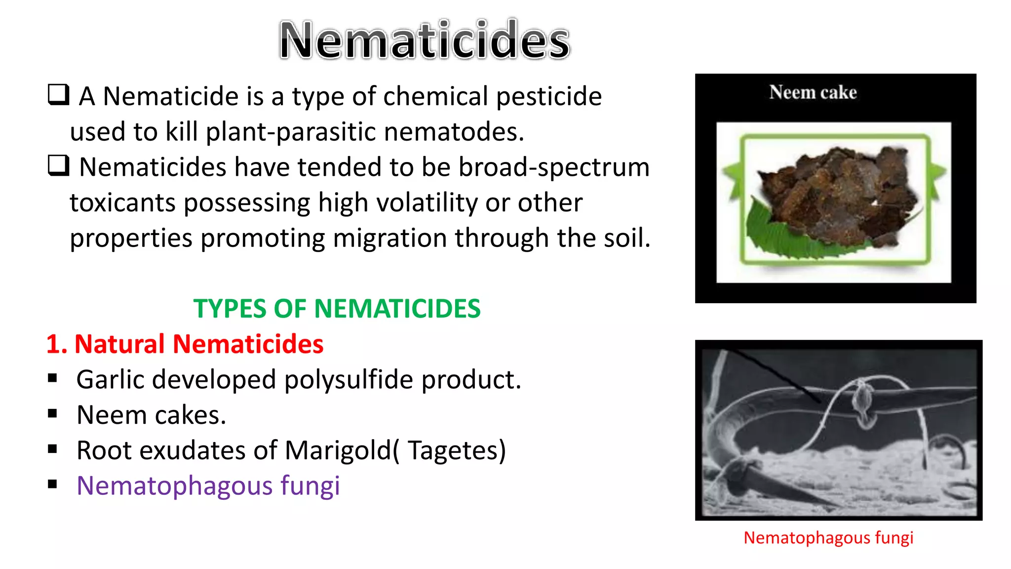 Fungal Nematicides.pptx