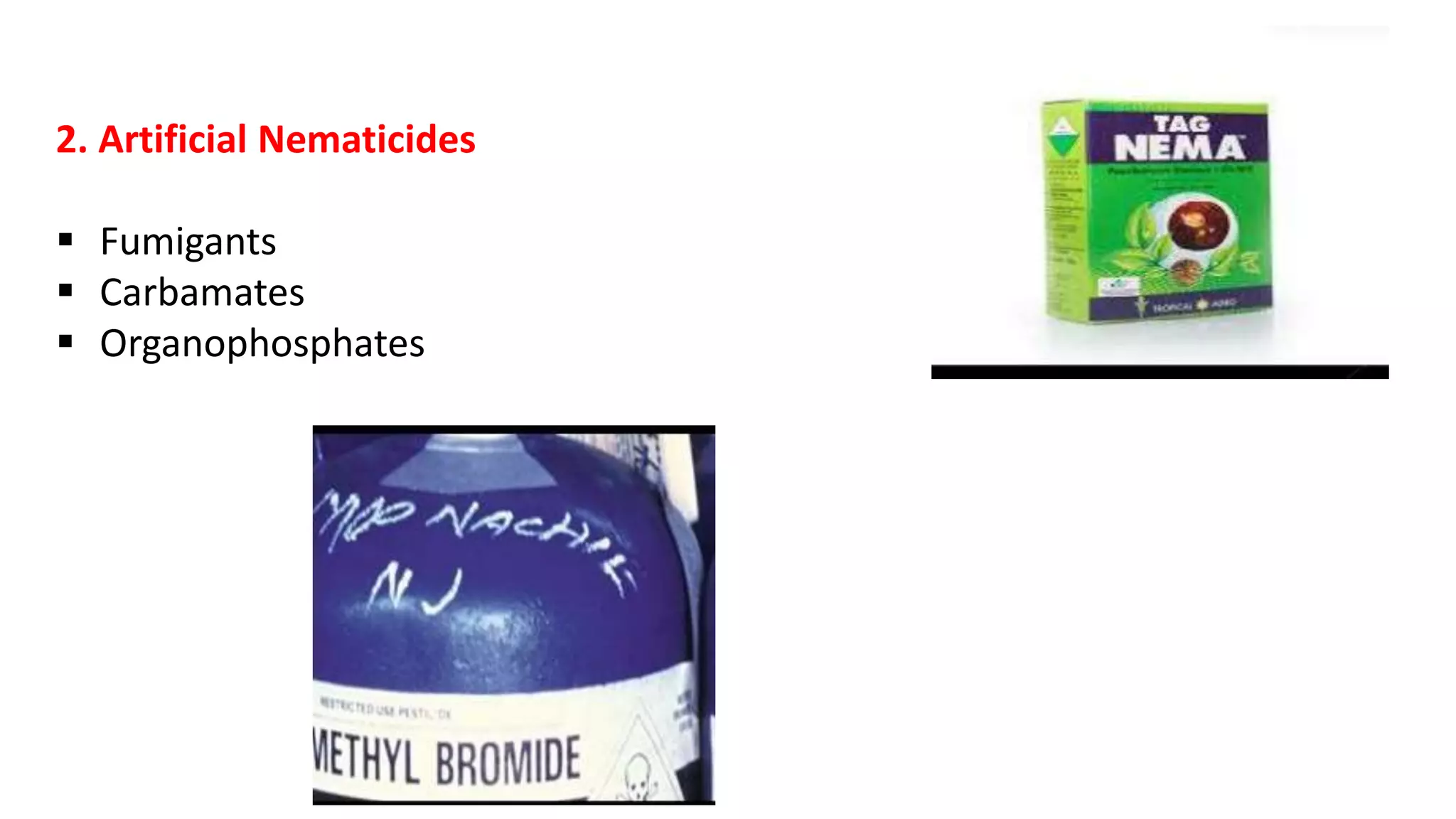 Fungal Nematicides.pptx