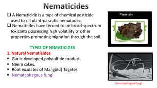 Fungal Nematicides.pptx