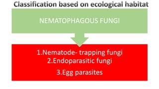 Fungal Nematicides.pptx