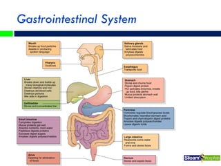 11 Gastrointestinal ………………………………………..ppt