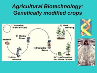 11 genomic approaches to monitoring the effects of gmo | PDF
